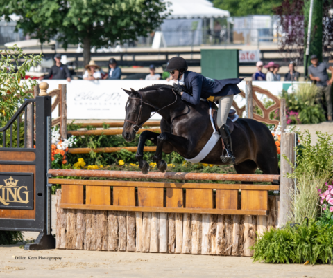 Jennifer Hannan and Mindful Rise to the Top of the Salamander ...