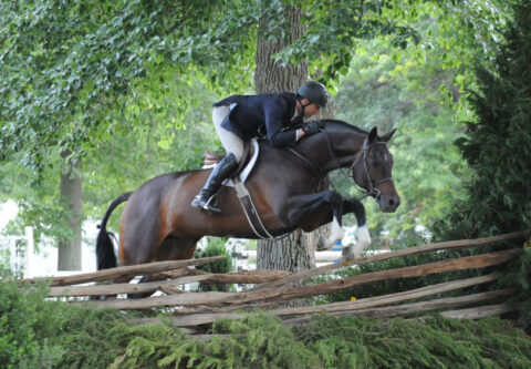 Upperville Colt & Horse Show
