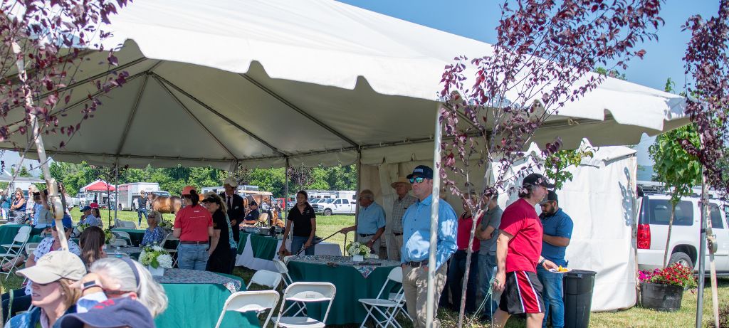 Events | Upperville Colt & Horse Show