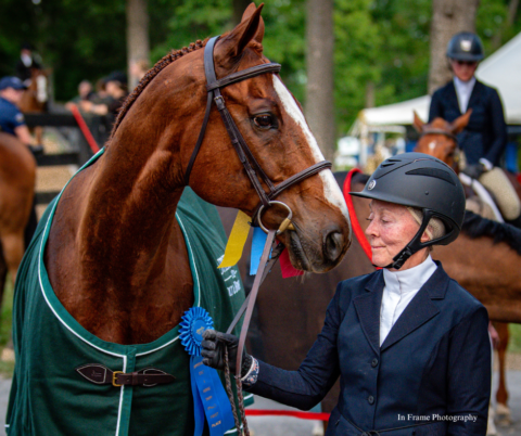 Gillian Sims and Copper Cruise Jump to the Take2 Thoroughbred Hunter ...